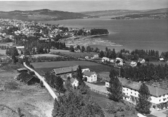 Bondelia – lokalhistoriewiki.no