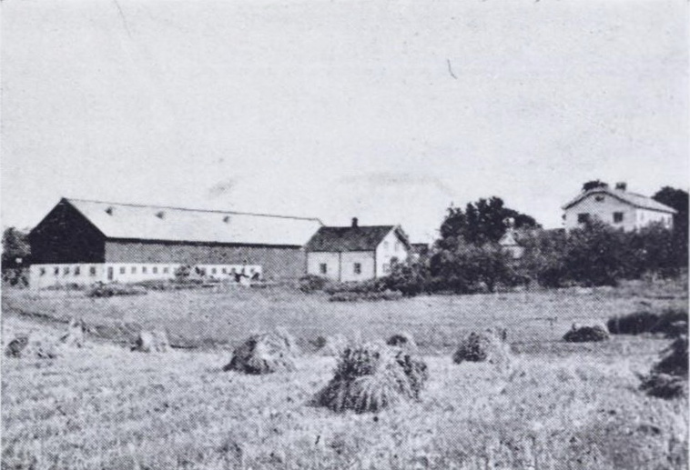 Tønsaker (Stange gnr. 107/1) – lokalhistoriewiki.no