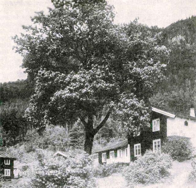 Pål Torsson Harildstad – lokalhistoriewiki.no
