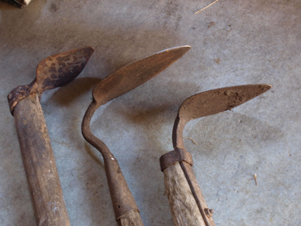 Grev – lokalhistoriewiki.no