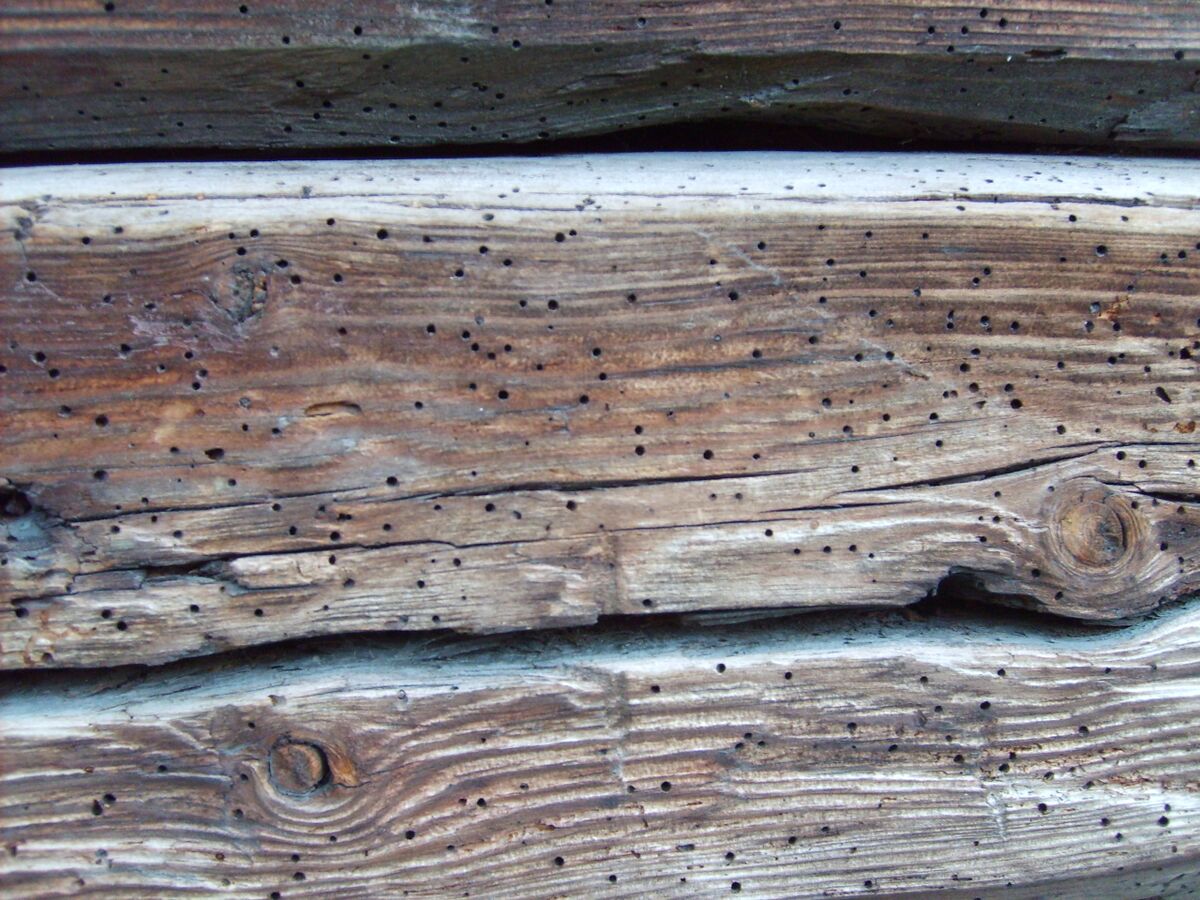 Borebiller – lokalhistoriewiki.no