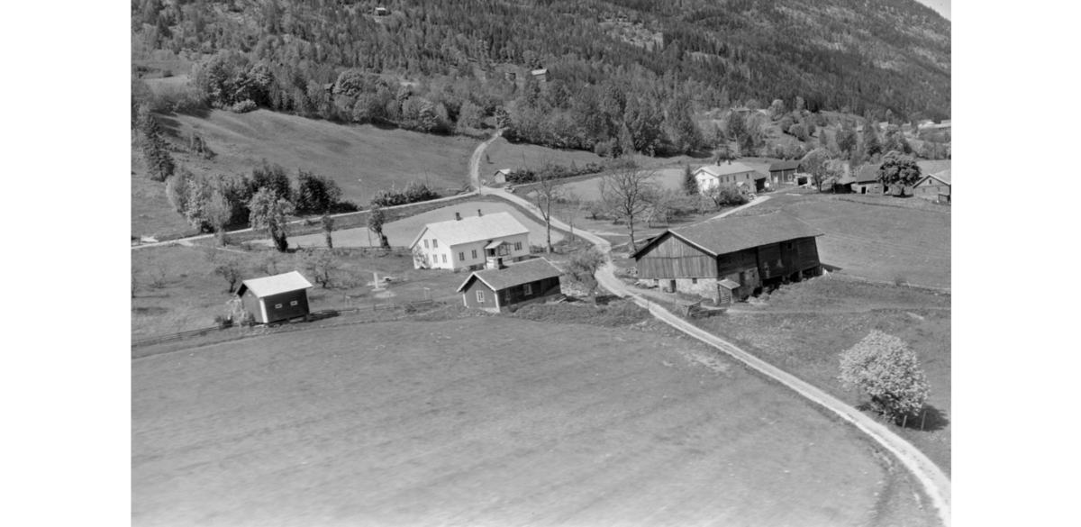 Alnes (Eidsvoll gnr. 251) – lokalhistoriewiki.no