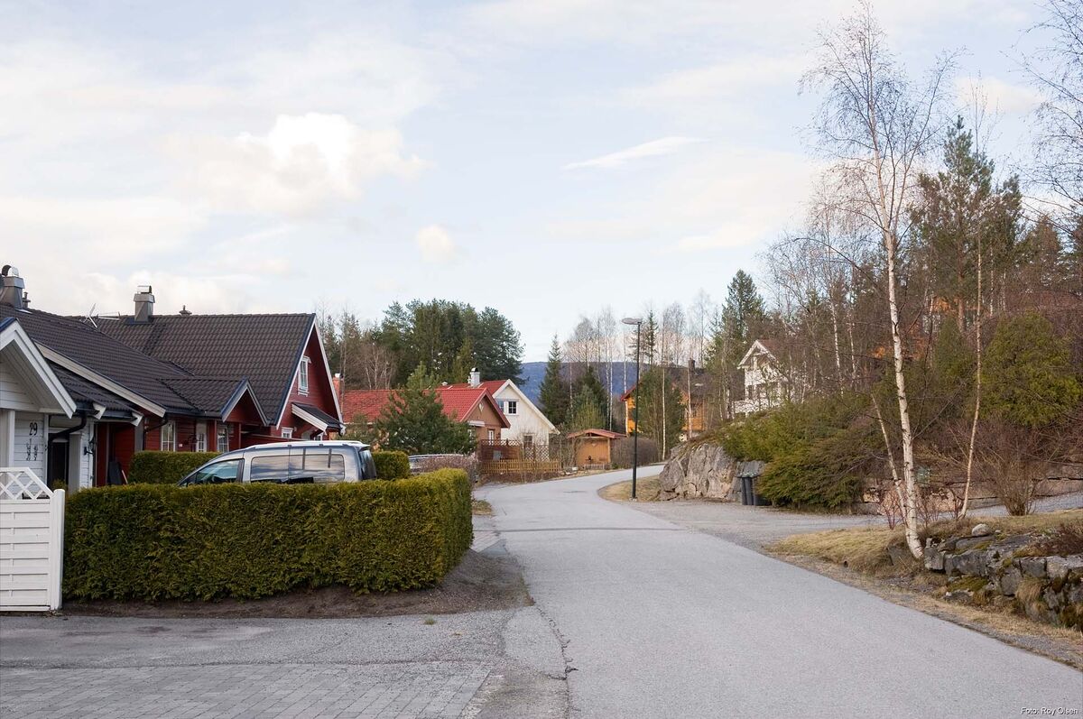 Borgjalia (veg i Bø i Telemark) – lokalhistoriewiki.no