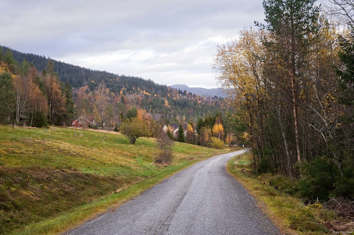 Livegen (Bø i Telemark) – lokalhistoriewiki.no