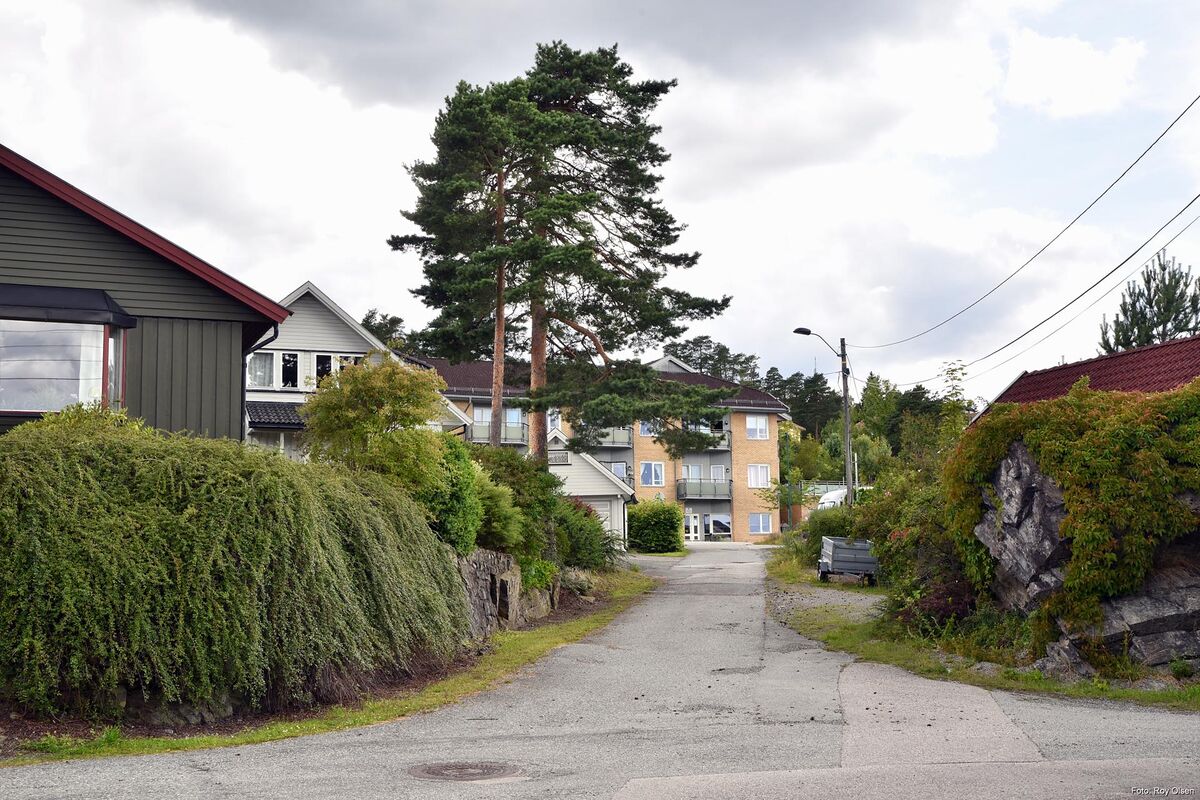 Damveien (Bamble) – lokalhistoriewiki.no