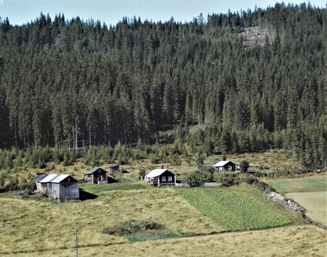 Bratli (Kongsvinger gnr. 91/8) – lokalhistoriewiki.no