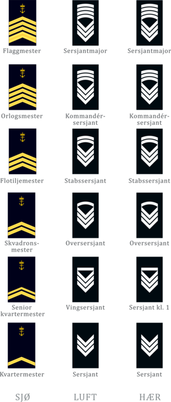 Militære grader – lokalhistoriewiki.no