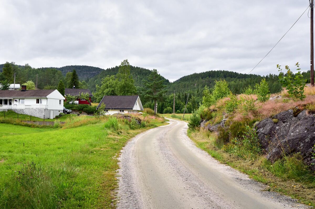 Dalane (vei i Drangedal) – lokalhistoriewiki.no