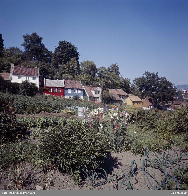 Parsellhage – lokalhistoriewiki.no