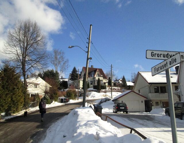 Furuset allé – lokalhistoriewiki.no