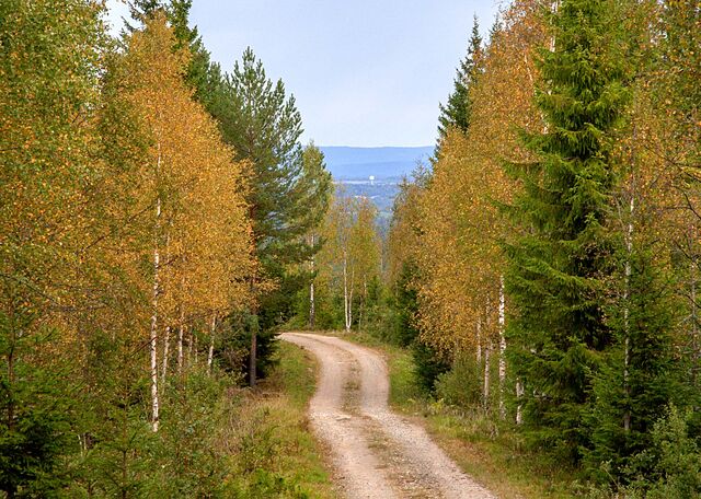 Ringdalsvegen (Gjerdrum) – lokalhistoriewiki.no