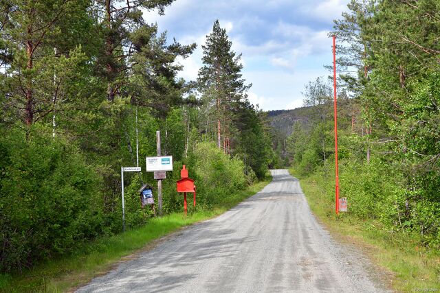 Uvdalsveien (Gjerstad) – lokalhistoriewiki.no