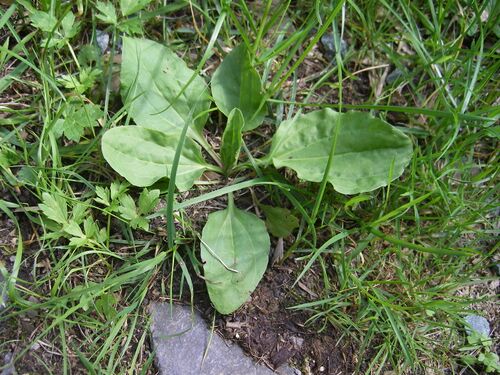 Forside:Folketru – lokalhistoriewiki.no