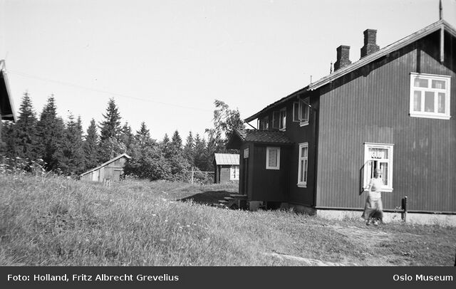 Hamborg under Hoff – lokalhistoriewiki.no