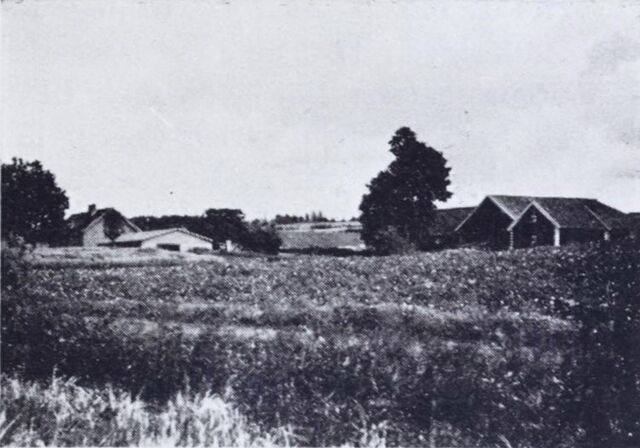Hammerstad (Stange gnr. 125/1) – lokalhistoriewiki.no
