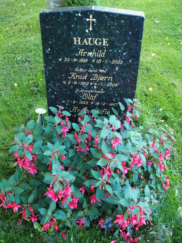 Knut Bjørn Hauge – lokalhistoriewiki.no
