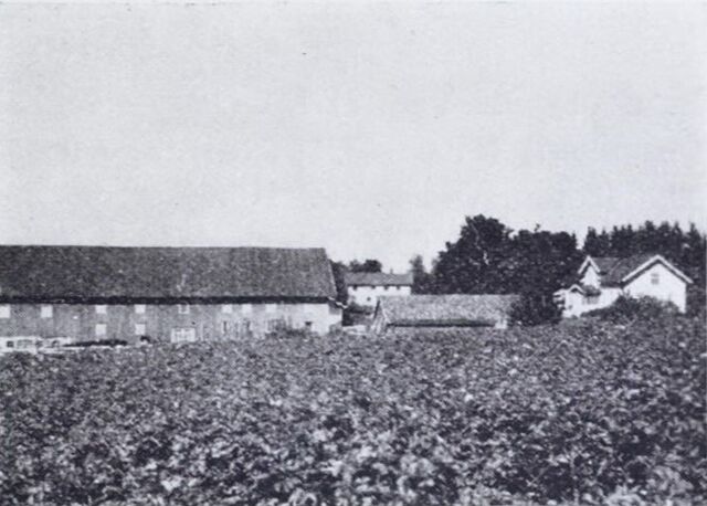 Østre Hemstad (Stange gnr. 129/1) – lokalhistoriewiki.no