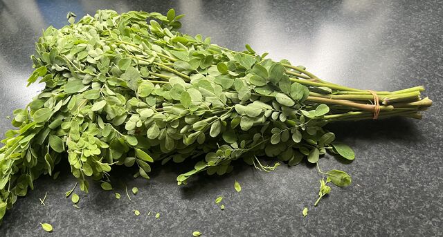 Sothi – lokalhistoriewiki.no