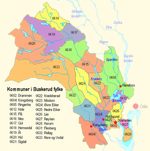 Buskerud – lokalhistoriewiki.no