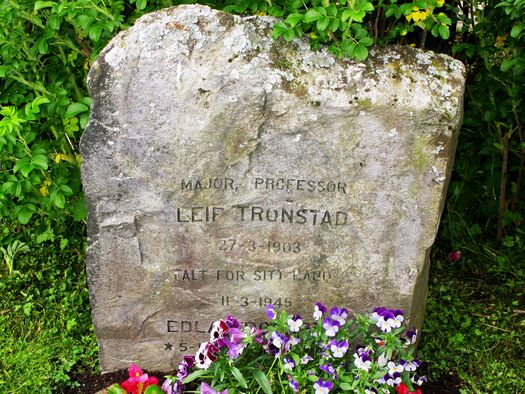 Leif Tronstad – lokalhistoriewiki.no