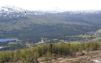 Tragedien på Lesjaskog seinhaustes 1957 – lokalhistoriewiki.no