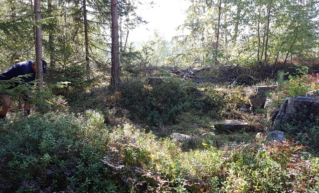Lurhøl under Heieren (Tyristrand) – lokalhistoriewiki.no