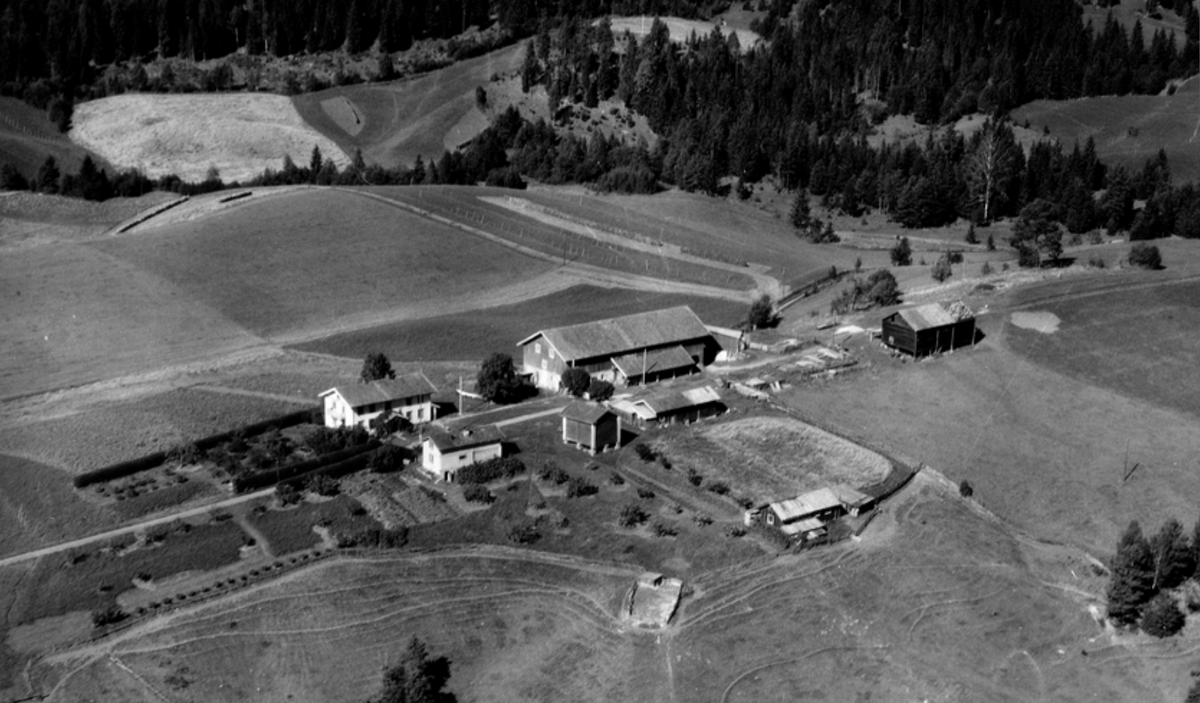 Heieren (Ringerike gnr. 247) – lokalhistoriewiki.no