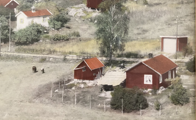Søndre Nettopp under Solberg (Tyristrand) – lokalhistoriewiki.no
