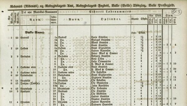 Matrikkelen 1838 – lokalhistoriewiki.no