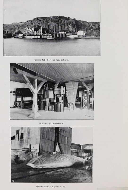 Johan Bryde – lokalhistoriewiki.no