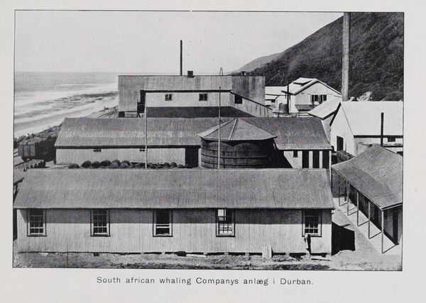 Johan Bryde – lokalhistoriewiki.no