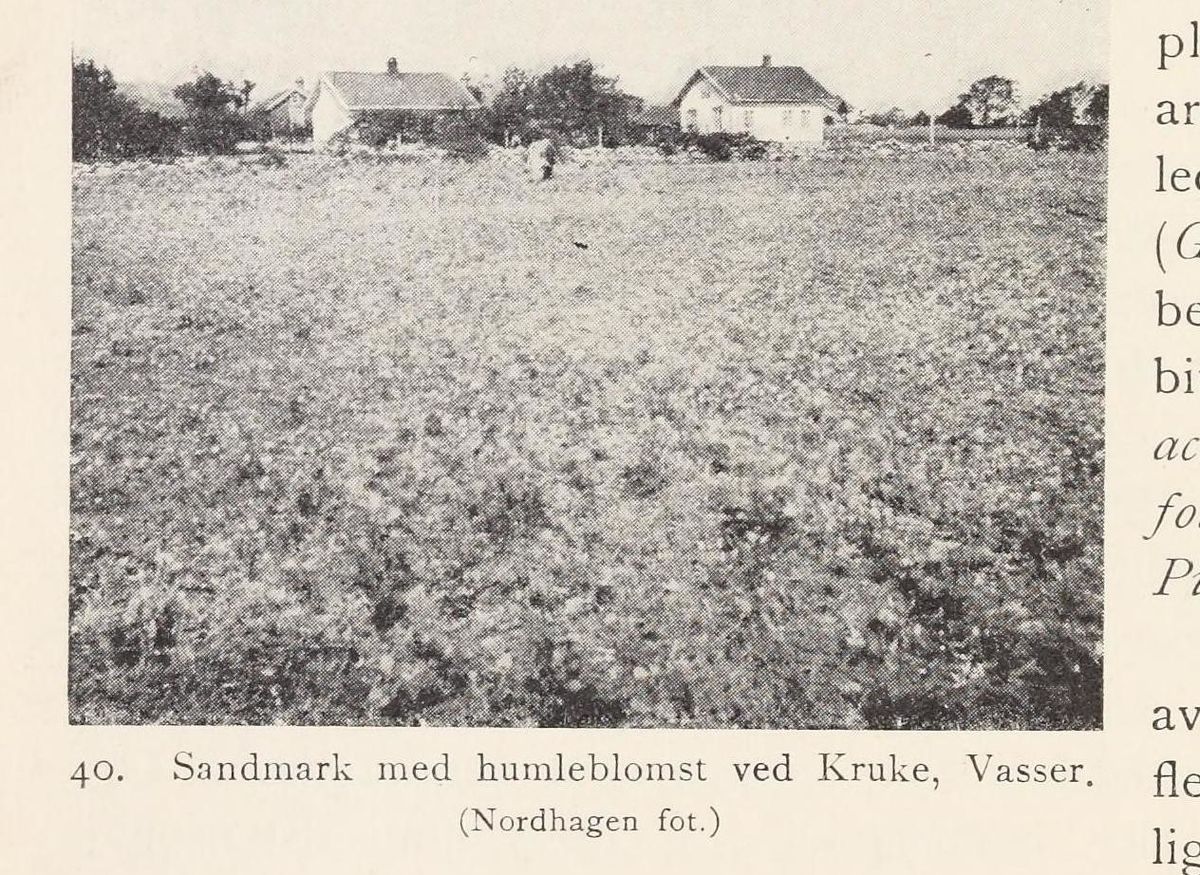 Hvasser – lokalhistoriewiki.no