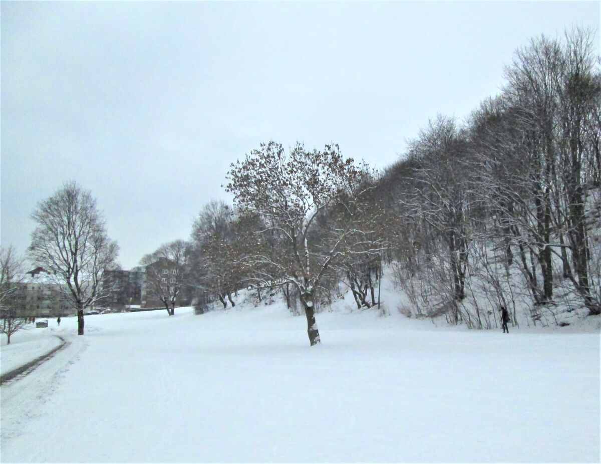 Ola Narr (park) – lokalhistoriewiki.no