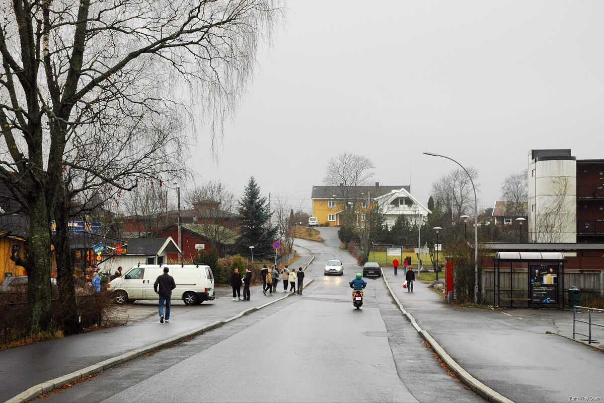 Oppsalveien (Oslo) – lokalhistoriewiki.no
