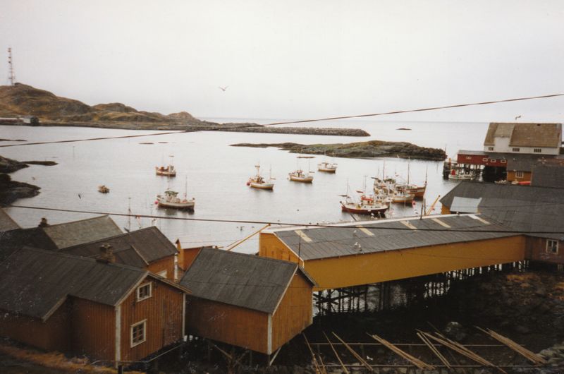 Tind (Moskenes) – lokalhistoriewiki.no