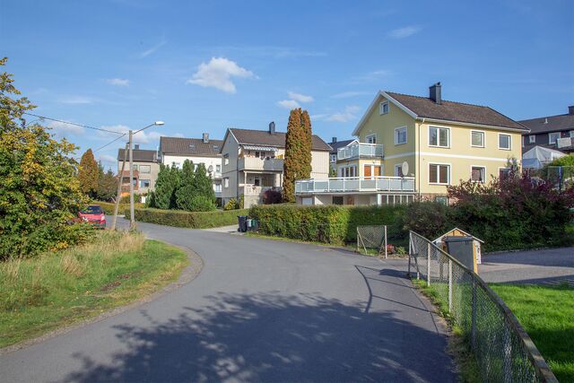 Peter Radichs vei – lokalhistoriewiki.no