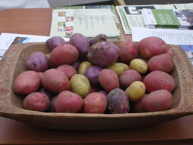 Potet – lokalhistoriewiki.no