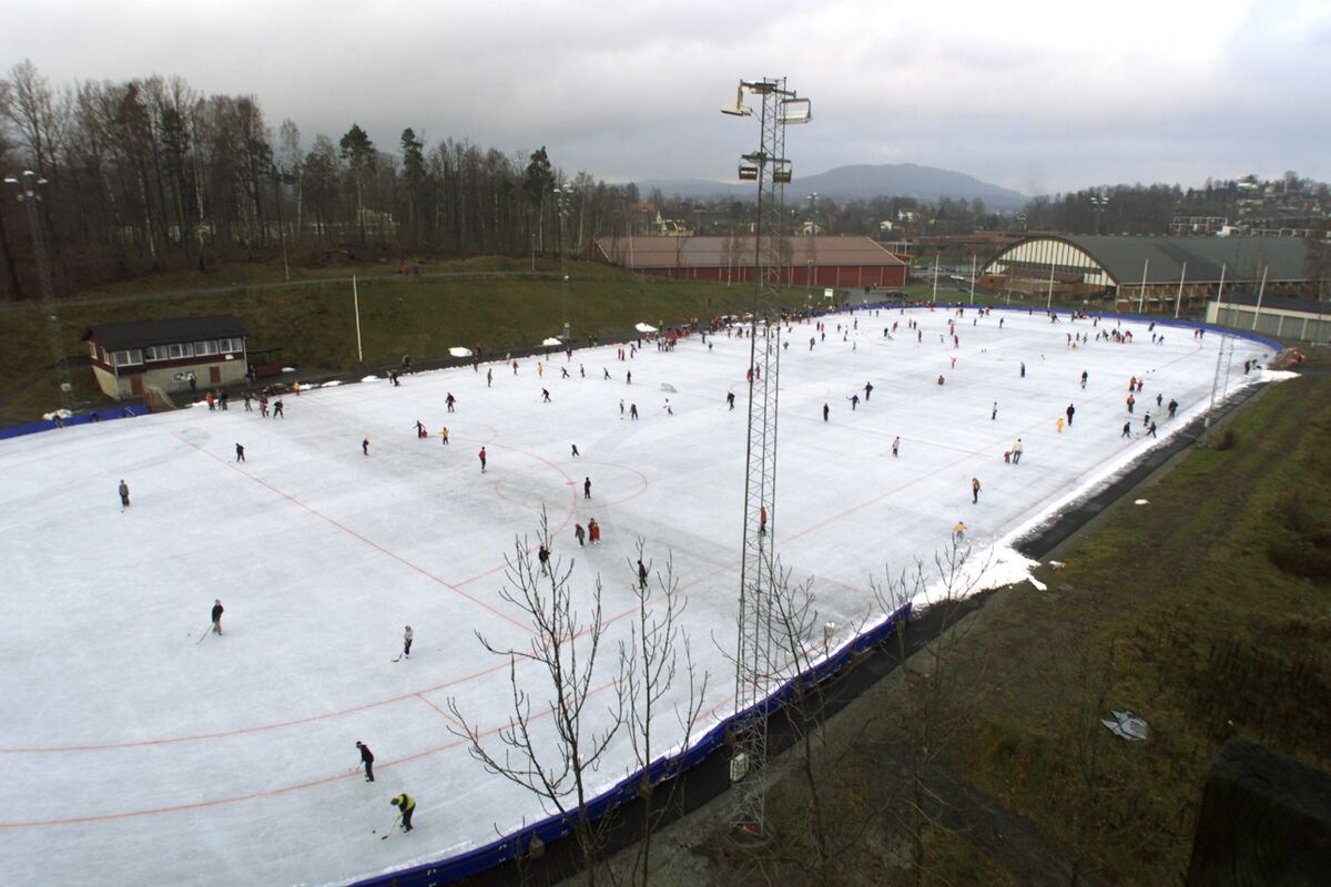 Risenga kunstis – lokalhistoriewiki.no