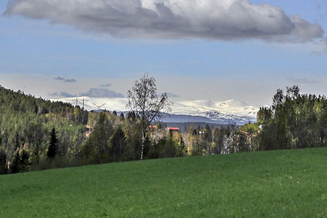 Ringerike – lokalhistoriewiki.no