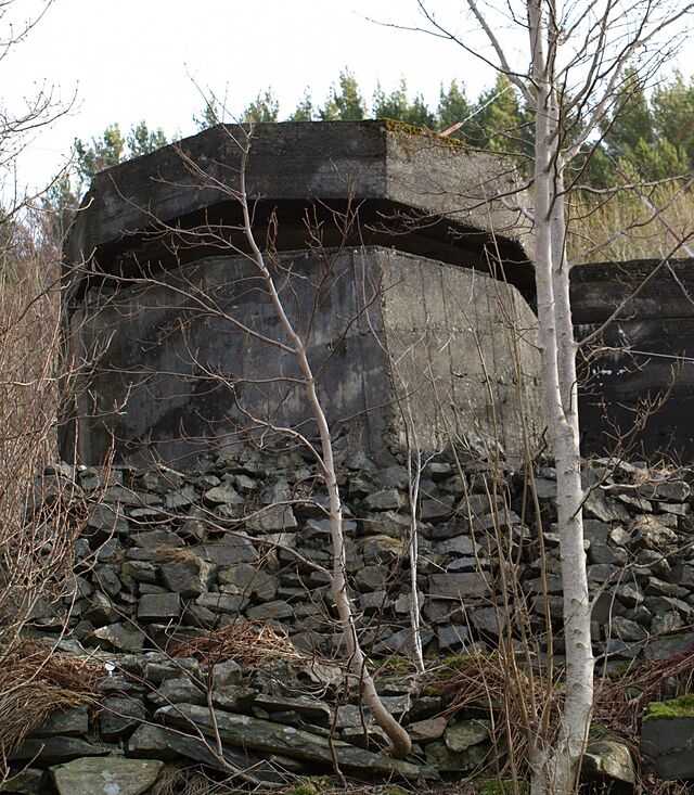 Risenes fort – lokalhistoriewiki.no