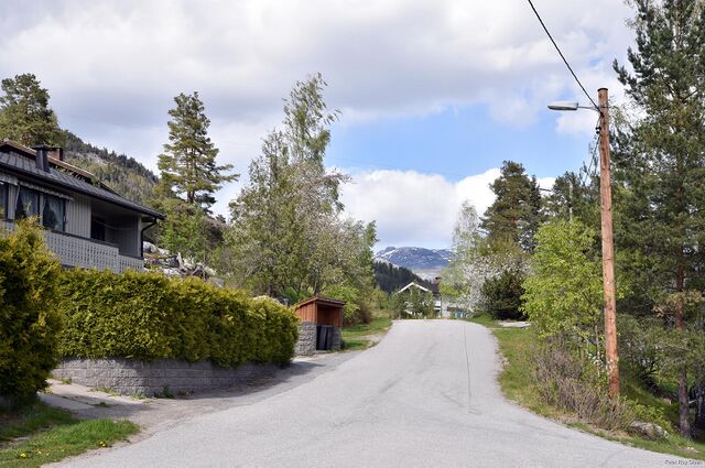 Hønervegen – lokalhistoriewiki.no