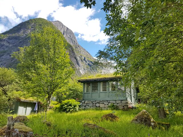 William Henry Singer (1868–1943) – lokalhistoriewiki.no