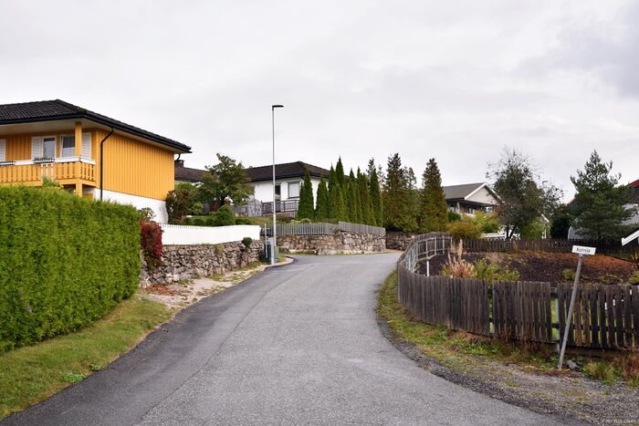 Kolmila (vei i Skien) – lokalhistoriewiki.no