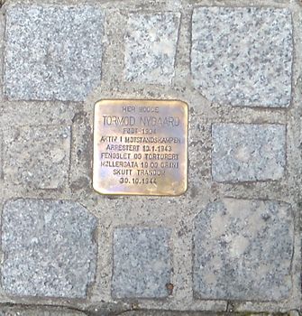 Tormod Nygaard – lokalhistoriewiki.no