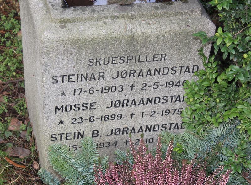 Steinar Jøraandstad – lokalhistoriewiki.no