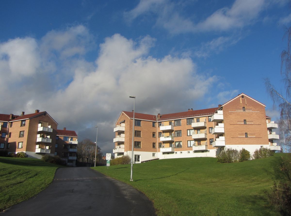 Stjerneblokkveien – lokalhistoriewiki.no