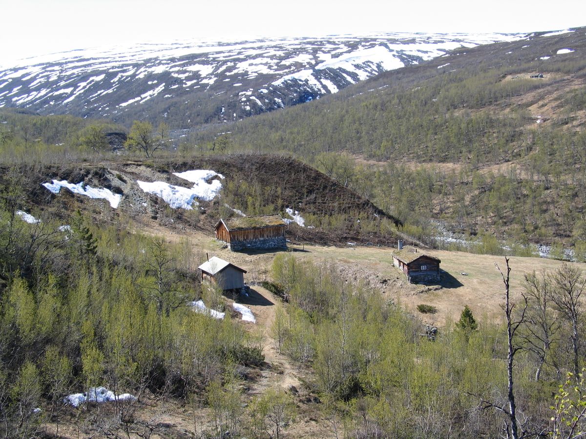 Setrar i Lesja – lokalhistoriewiki.no