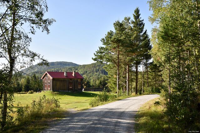 Grasdalen (vei i Tinn) – lokalhistoriewiki.no