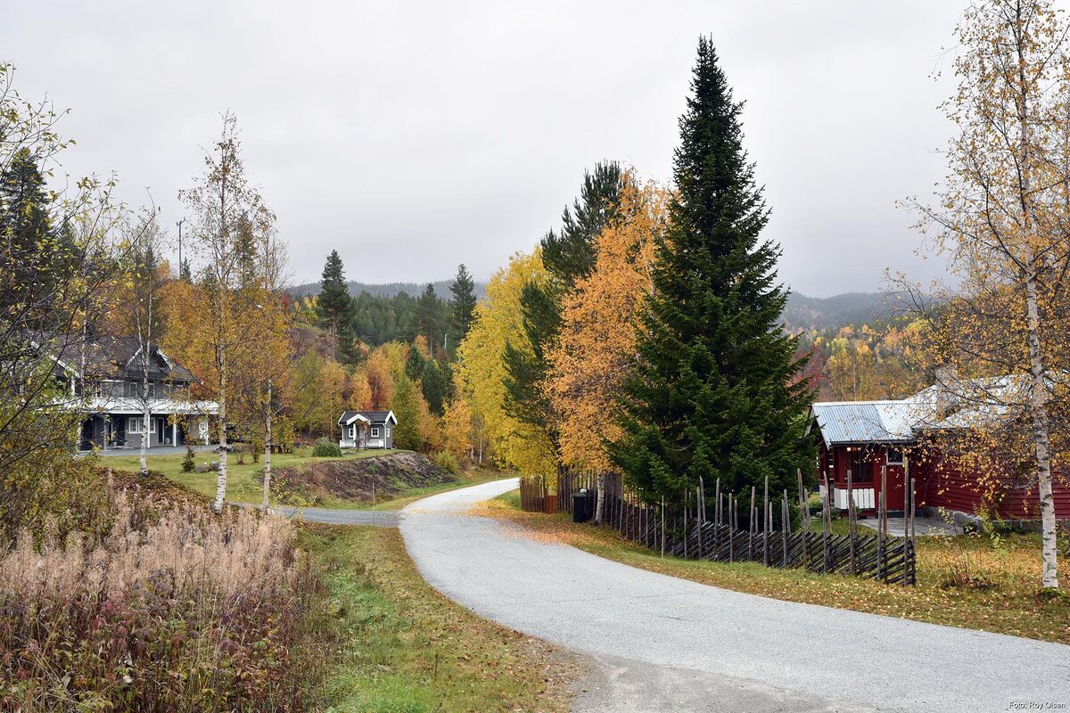 Tuvavegen (Tokke) – lokalhistoriewiki.no