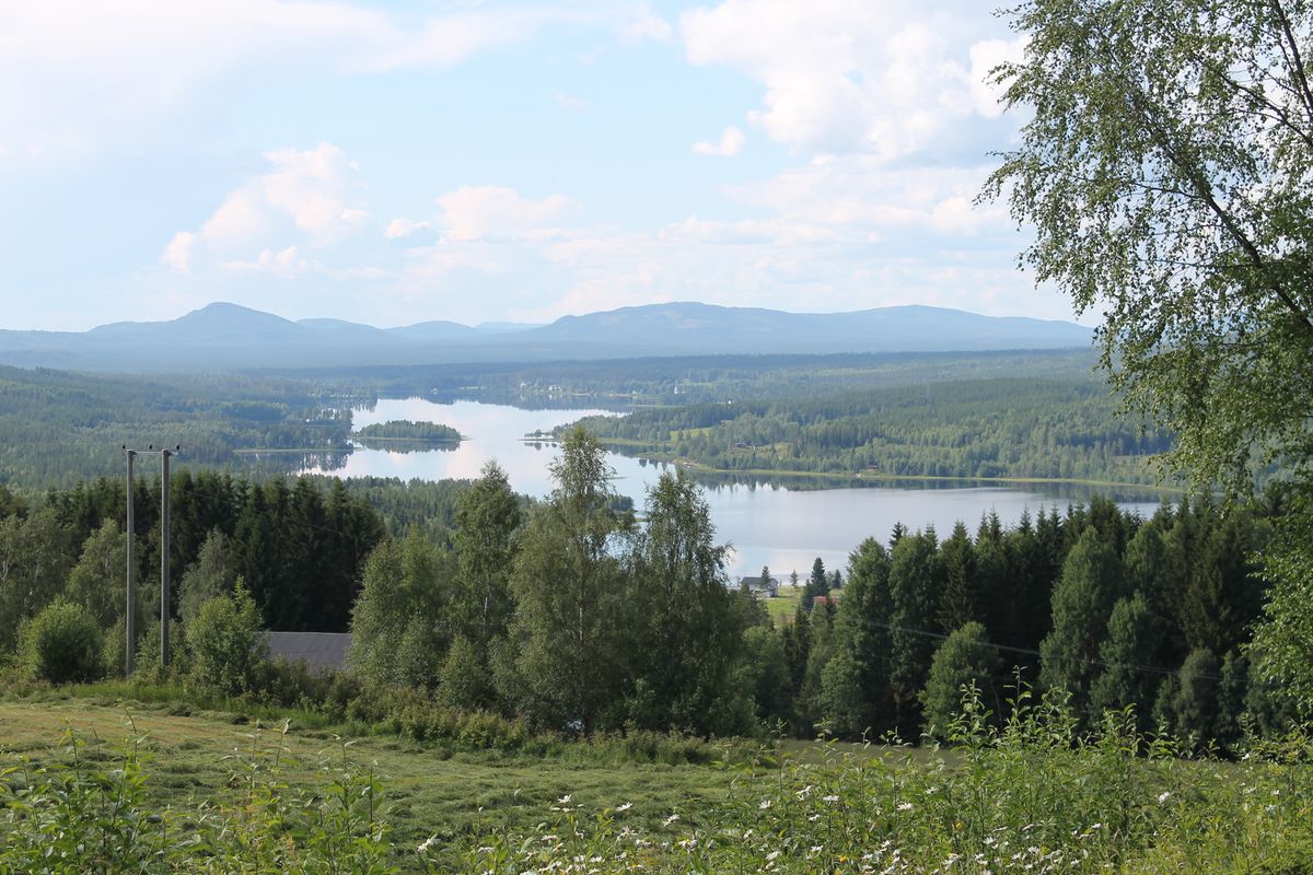Finnskogen – lokalhistoriewiki.no